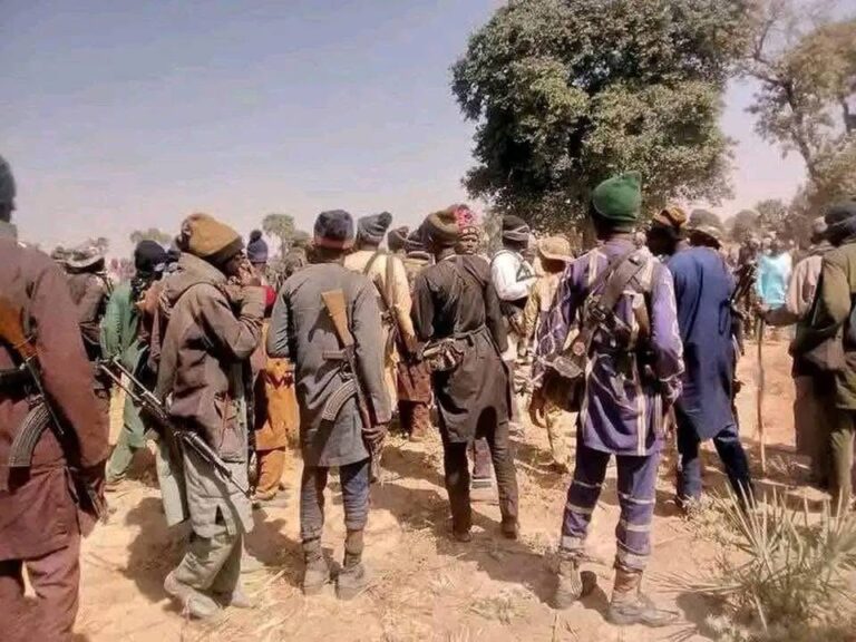 39 Zamfara residents on peace-mission with terrorists kidnapped *Police ...